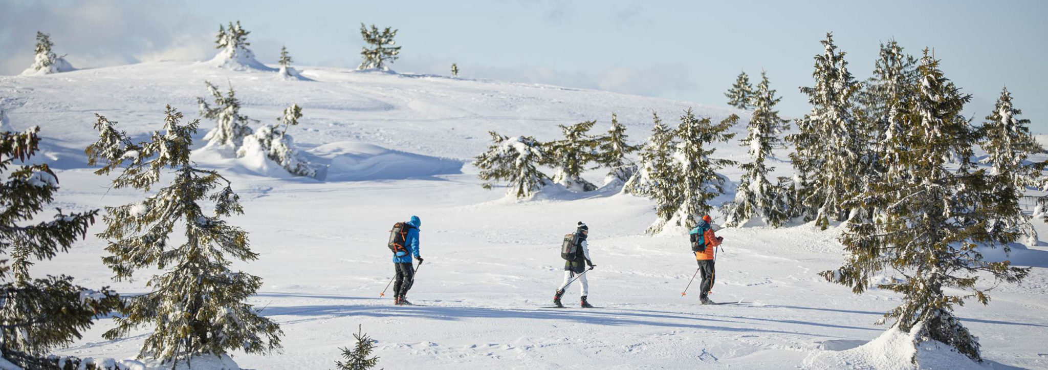 Ski randonnée nordique – François Sports – Morges – Lausanne